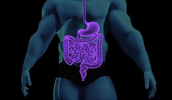 Colitis nerviosa | Qué es, síntomas, causas, tratamiento, diagnóstico