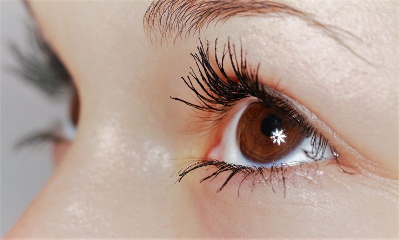 Ambliopía | Causas, síntomas, tratamiento, diagnóstico | Niños, adultos