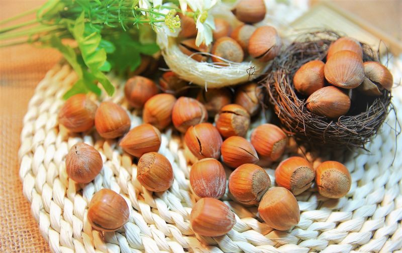 Lipoproteínas | Qué son, para qué sirve, tipos, importancia, función